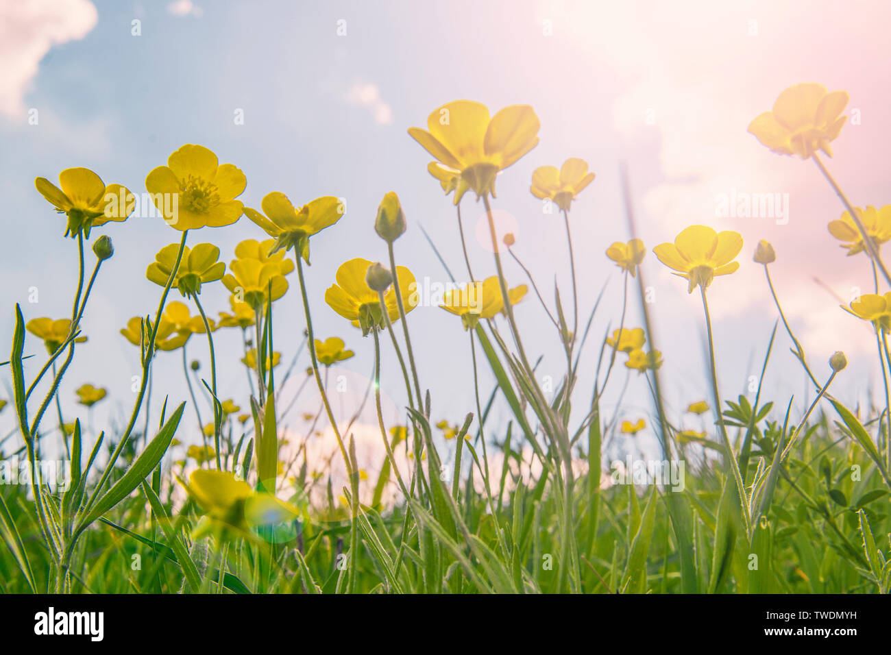 Beautiful spring color nature scene hi-res stock photography and images ...