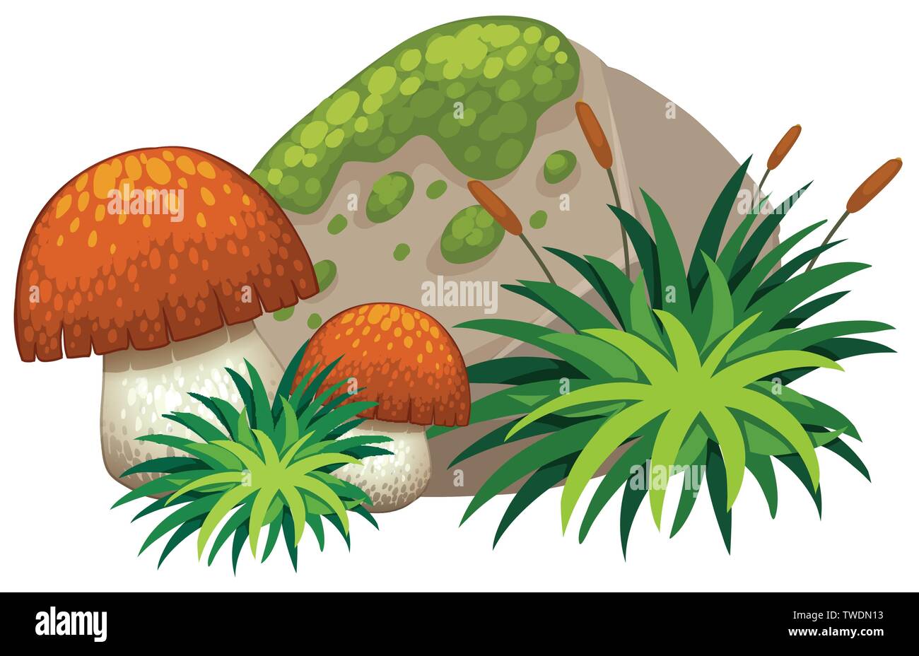 A nature rock landscape illustration Stock Vector Image & Art - Alamy