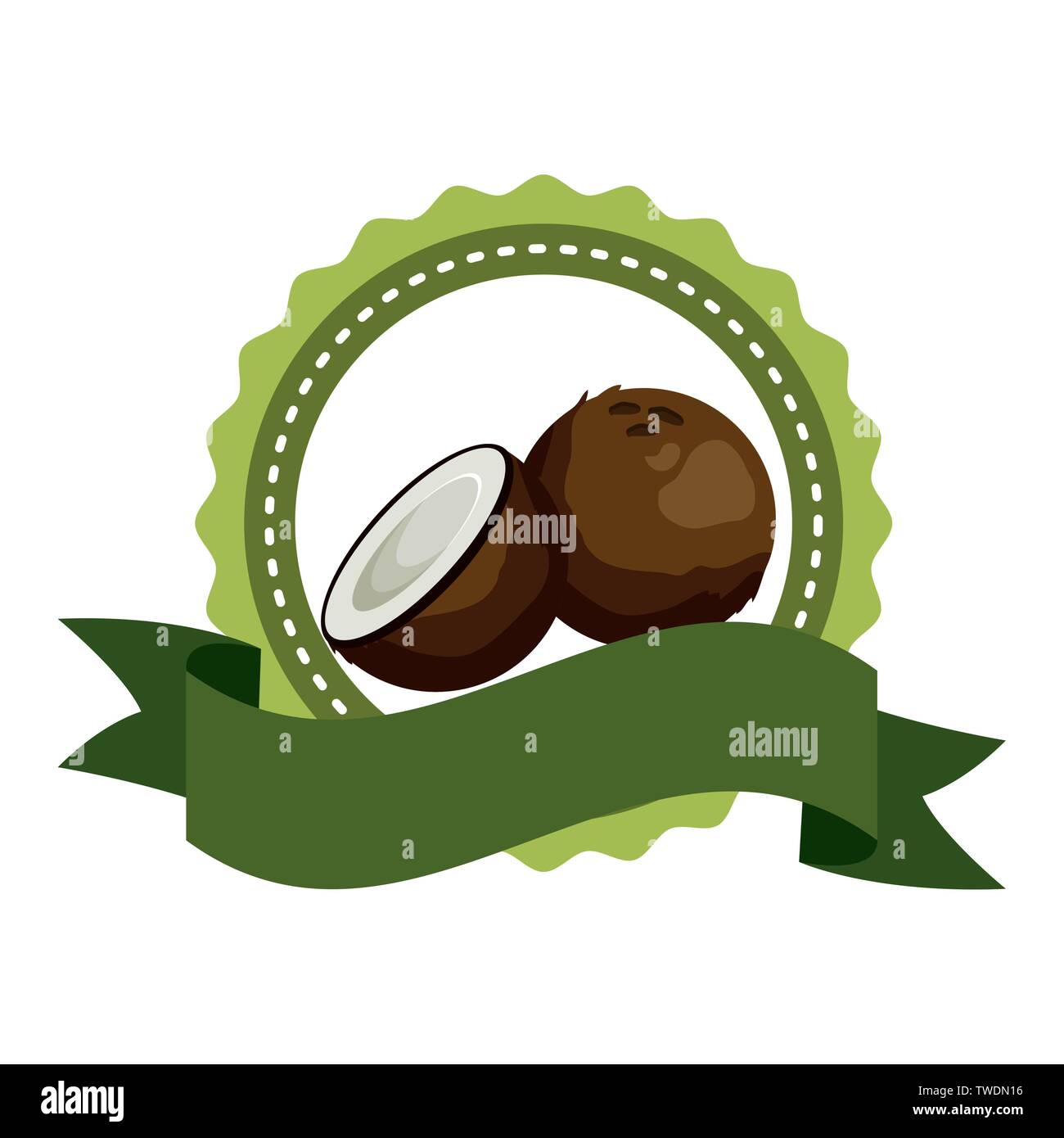 coconut tropical fruits badge ribbon vector illustration Stock Vector ...