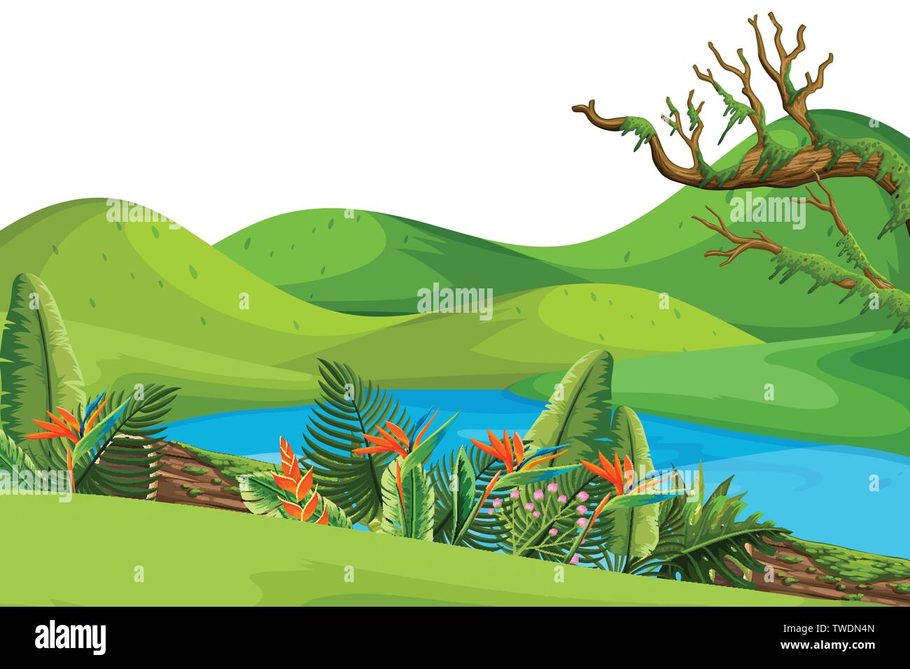 A nature pond landscape illustration Stock Vector Image & Art - Alamy