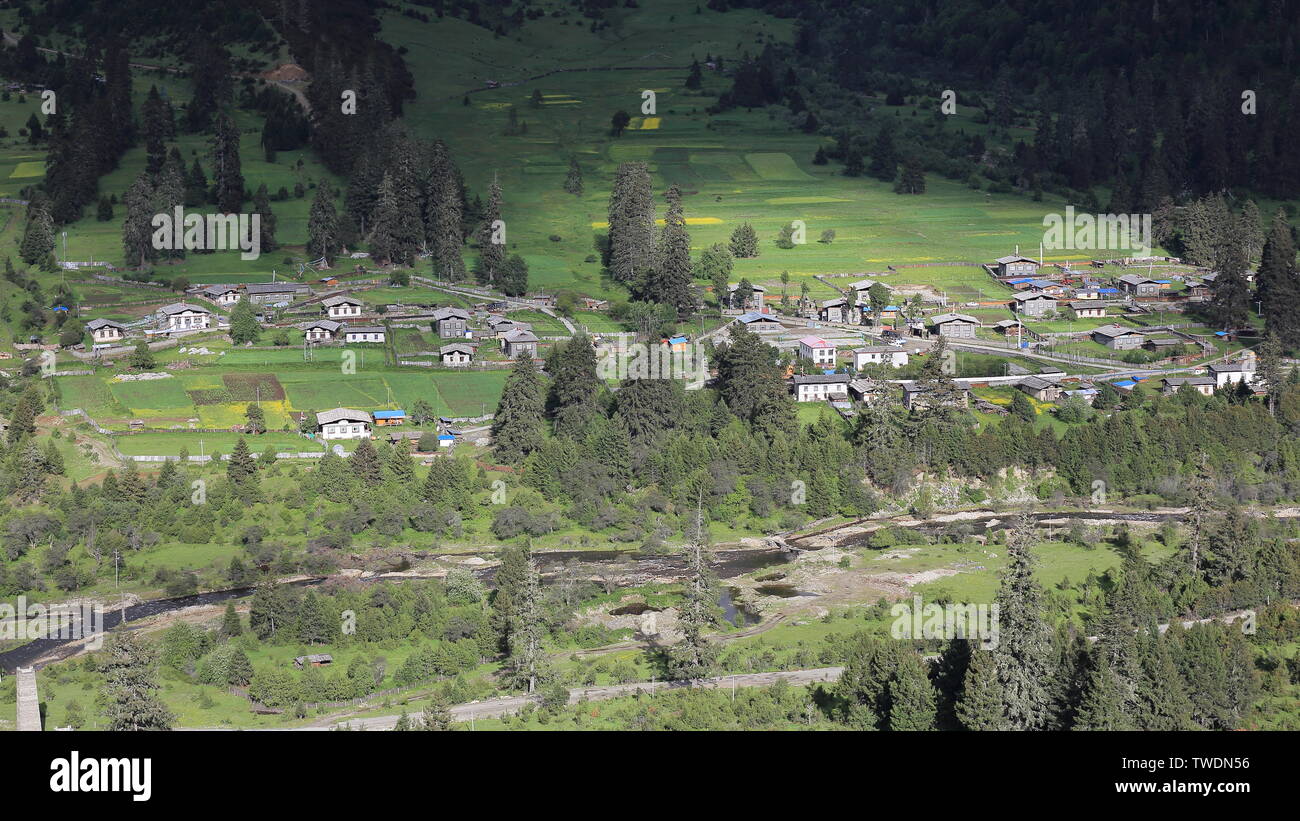 Scenery of Lulang Linhai in Yingzhi region, Tibet Stock Photo - Alamy