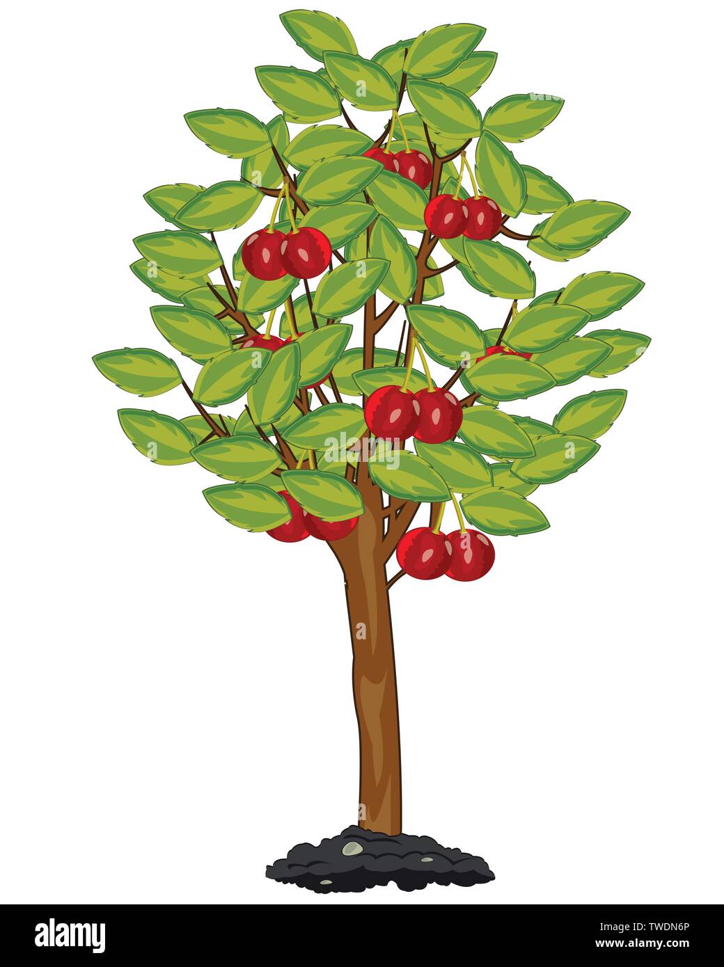 Cartoon Cherry Tree