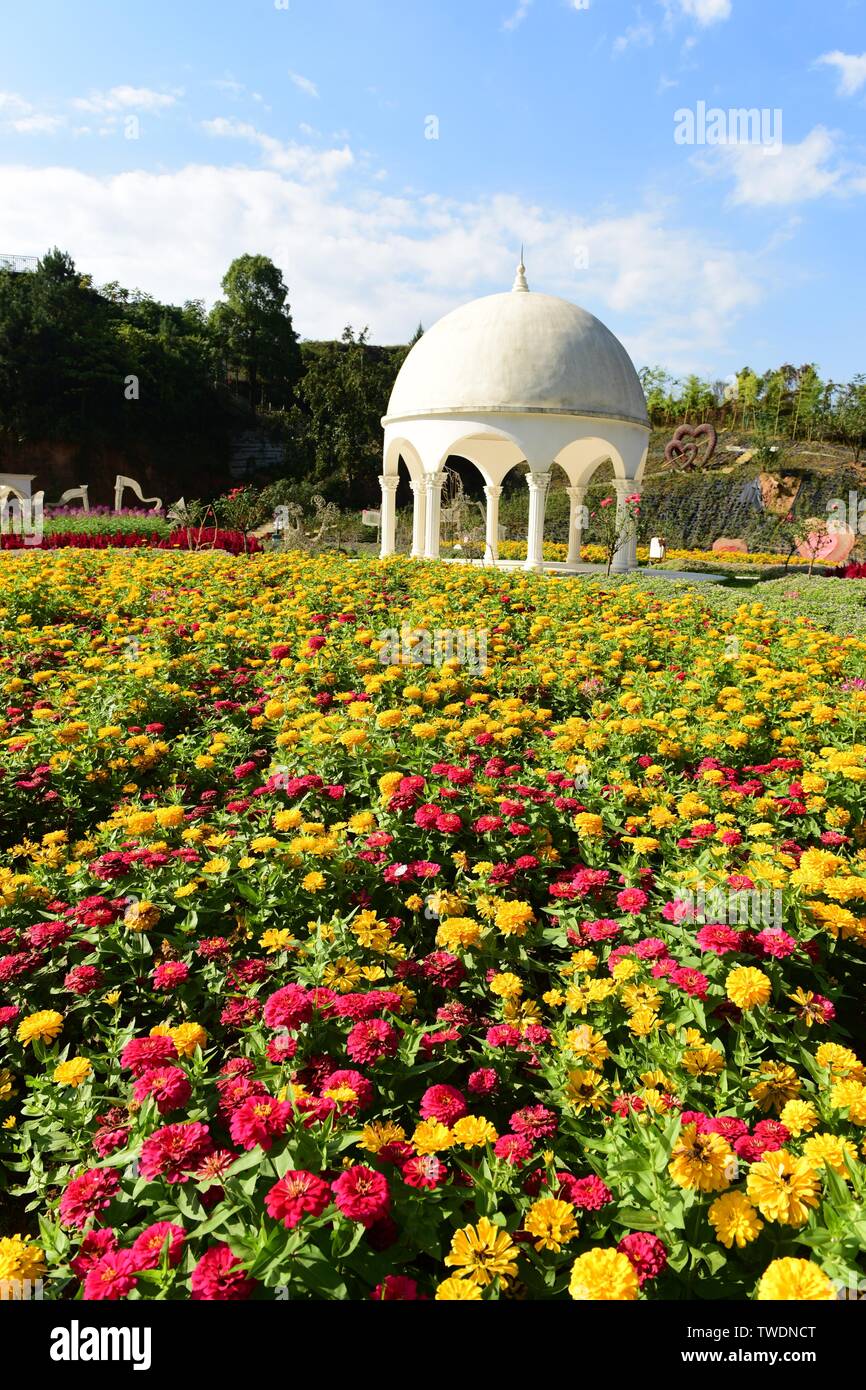 Flower Sea Promenade Stock Photo - Alamy