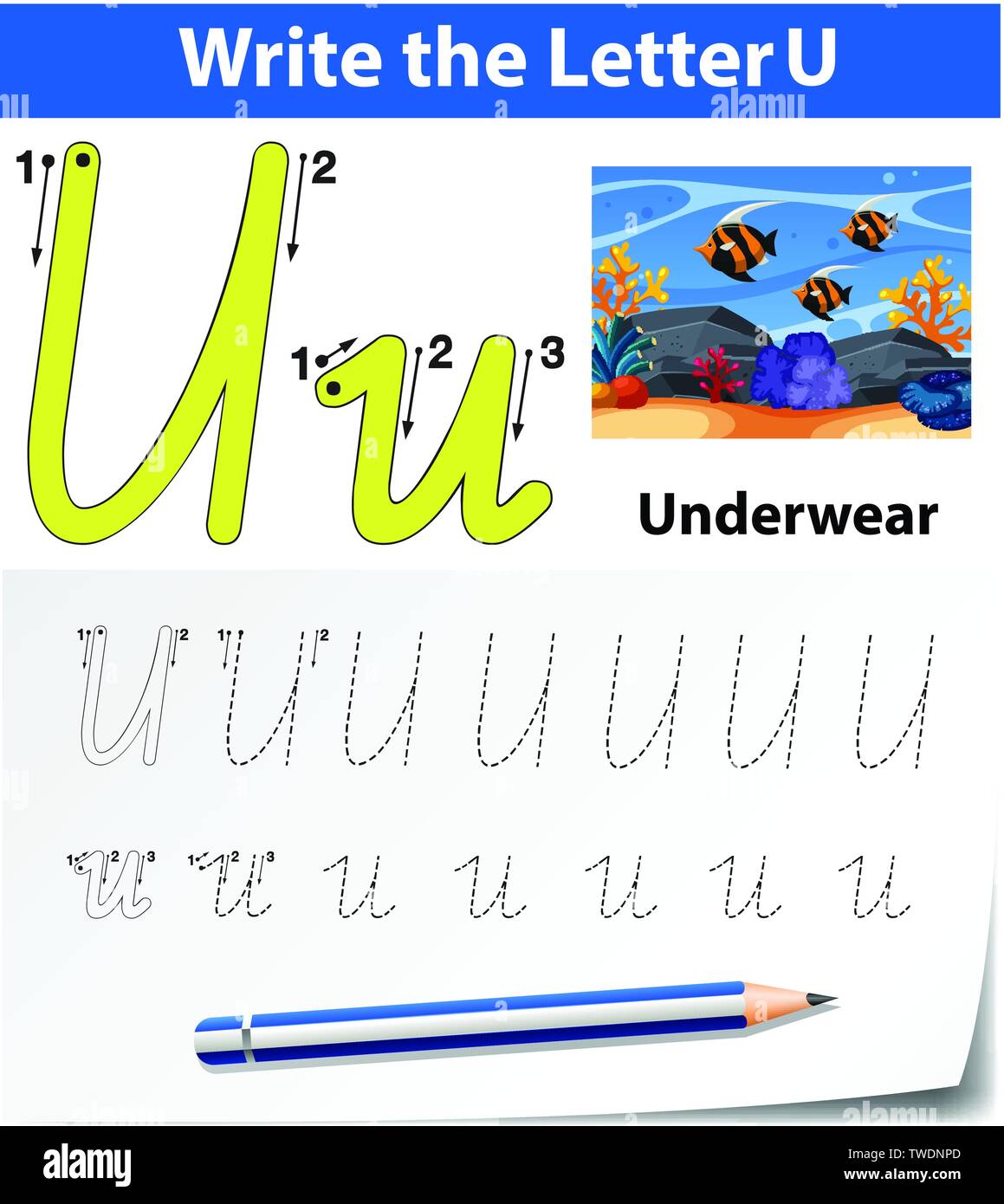 Letter U tracing alphabet worksheets illustration Stock Vector Image ...