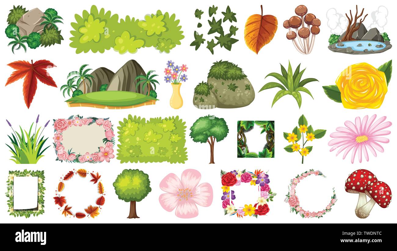 Set of ornamental plants illustration Stock Vector Image & Art - Alamy