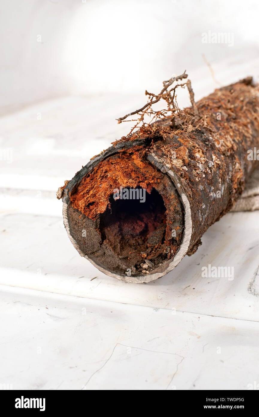 close-up of a clogged sewer pipe removed from an old home Stock Photo ...