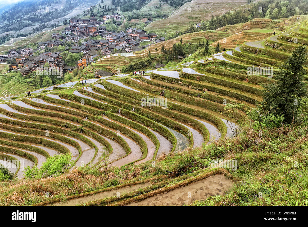 Tourism no one has agricultural vineyards hi-res stock photography and ...