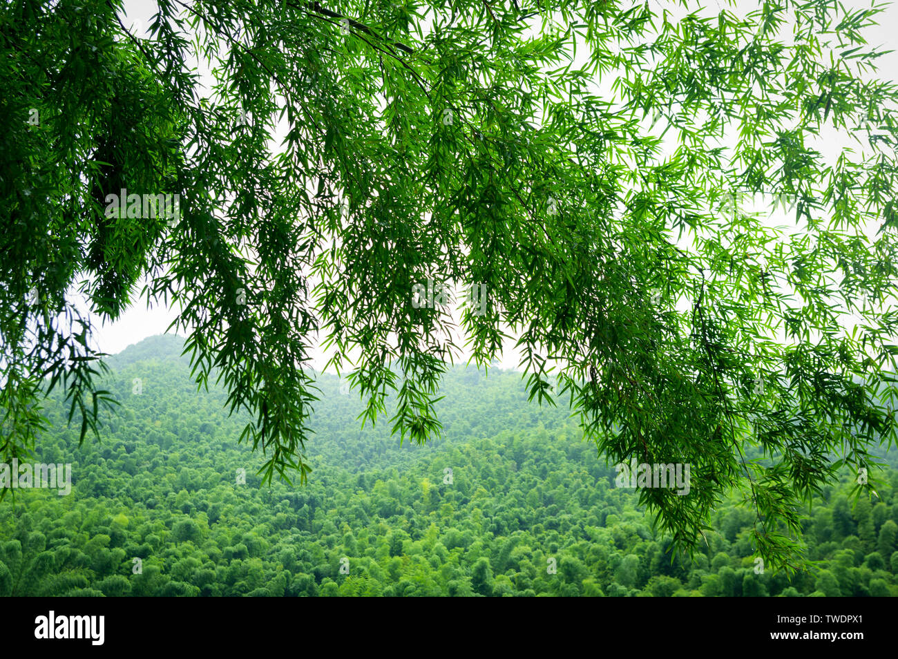 The scenery of Da Zhuhai in western Zhejiang (Photo in Luo hometown ...