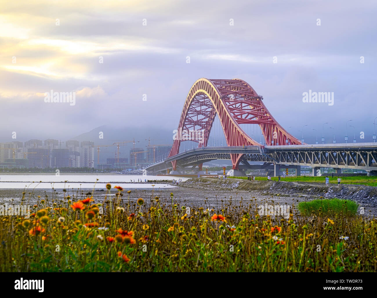 Meishan Island Wetland Park Stock Photo - Alamy