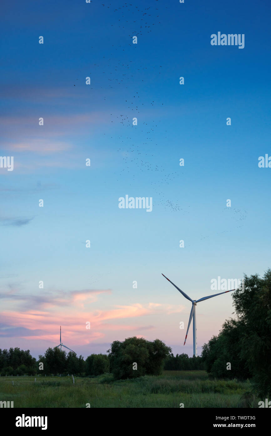 The natural scenery Stock Photo - Alamy