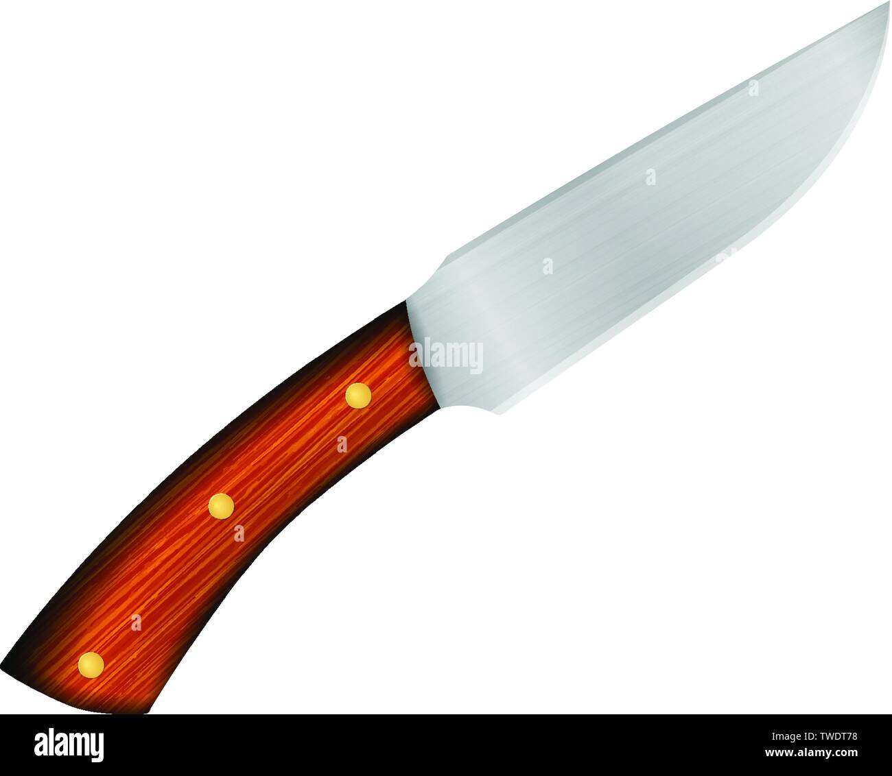 Penknife vector vectors hi-res stock photography and images - Alamy