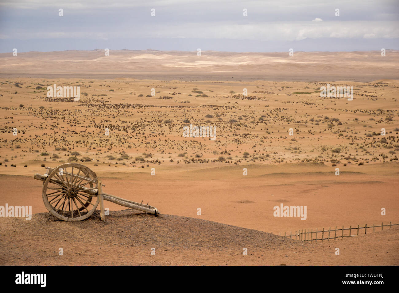 Outdoor shrubs heat gobi vast gobi natural scenery scenery hi-res stock ...