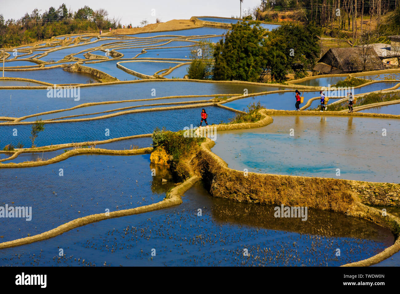 Blue terraces hi-res stock photography and images - Alamy