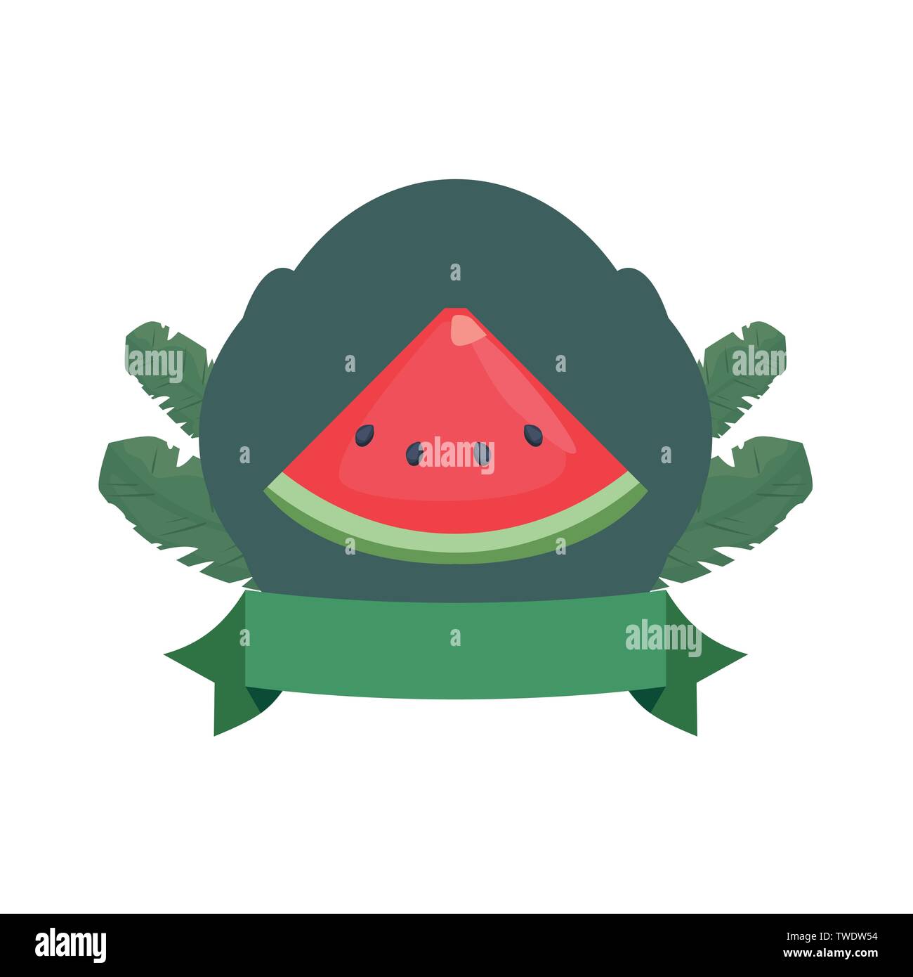 summer time holiday watermelon badge tropical leaves vector ...
