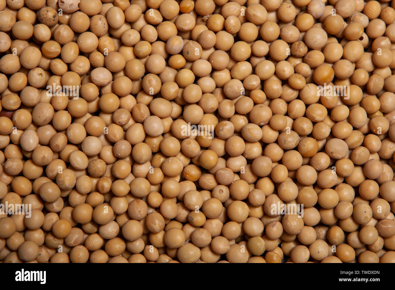 Grain, miscellaneous grains, soybeans Stock Photo - Alamy