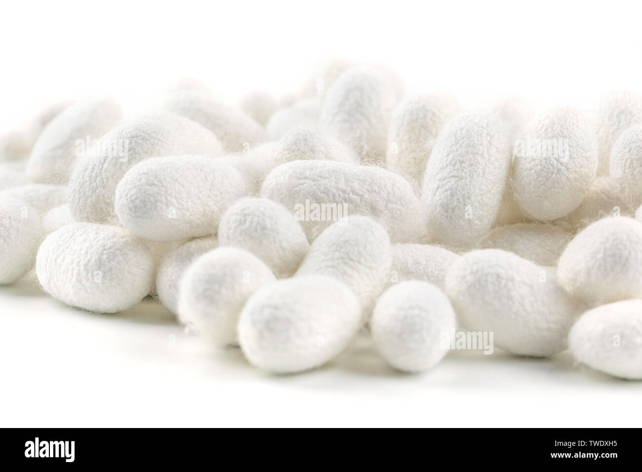 Natural silk cocoon Stock Photo - Alamy
