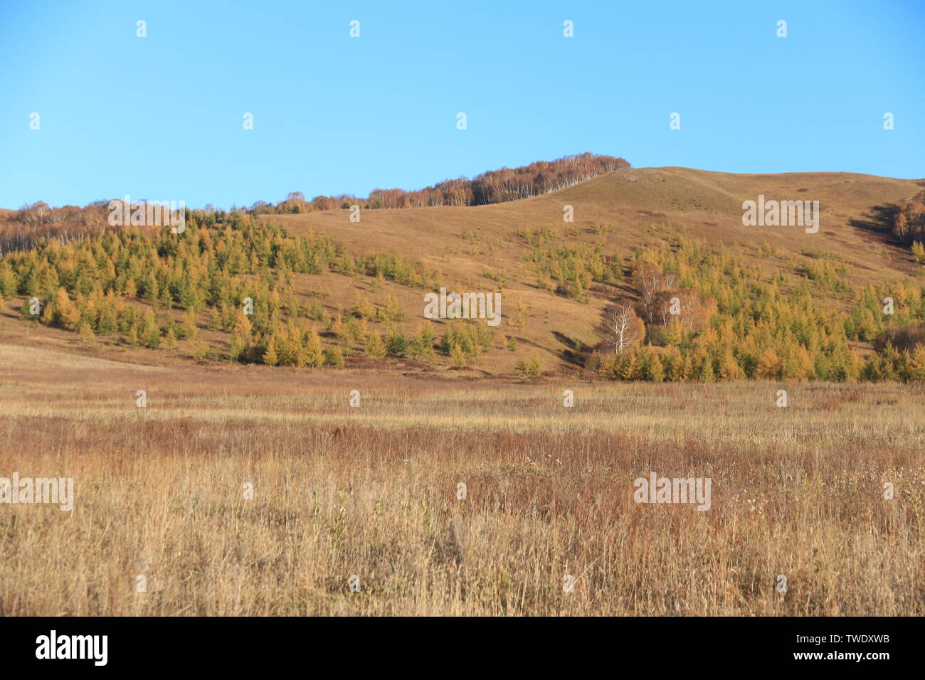 Prairie scenery on the dam Stock Photo - Alamy