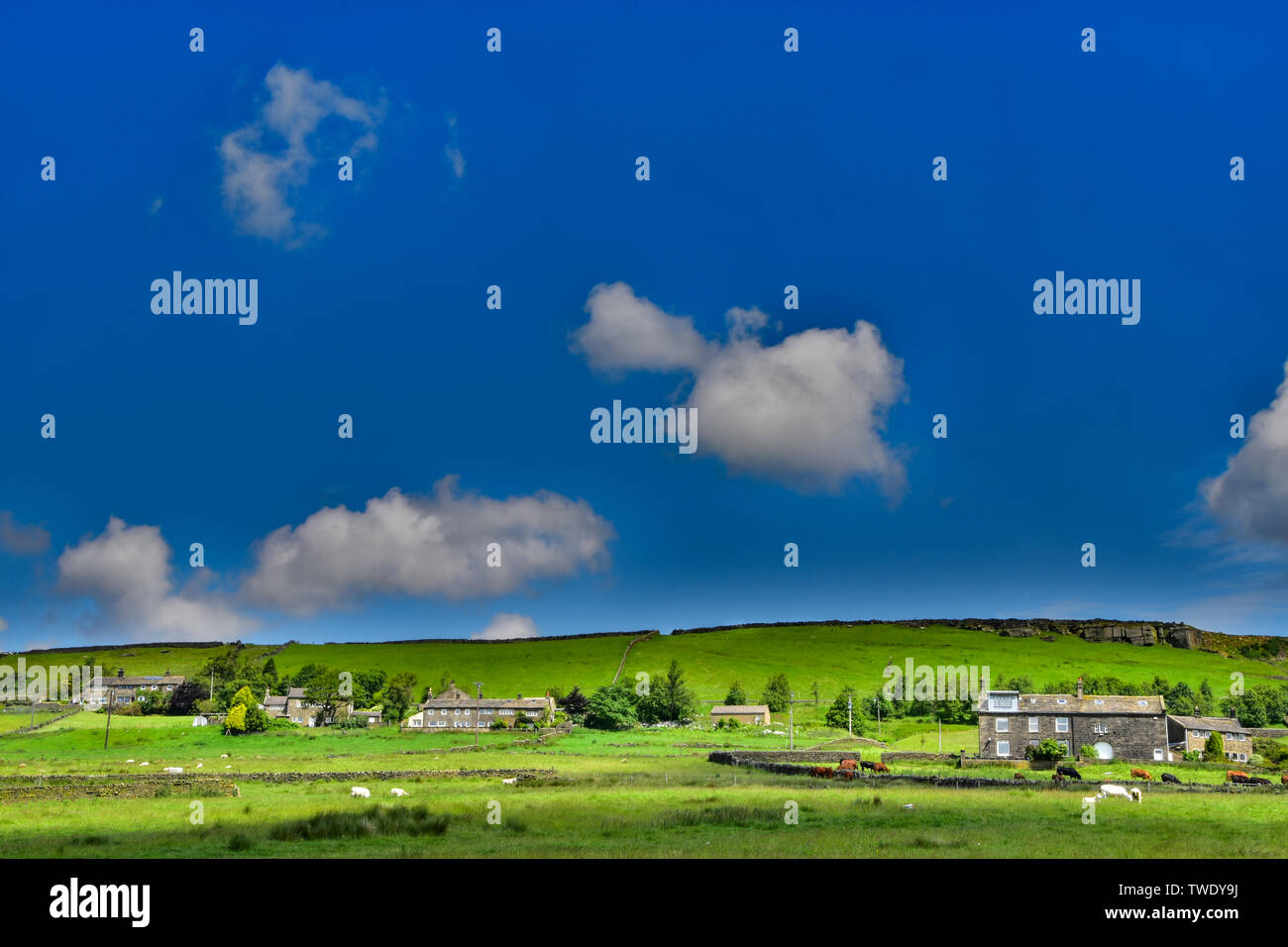 Farmhouses, Colden, South Pennines, Calderdale, West Yorkshire Stock ...