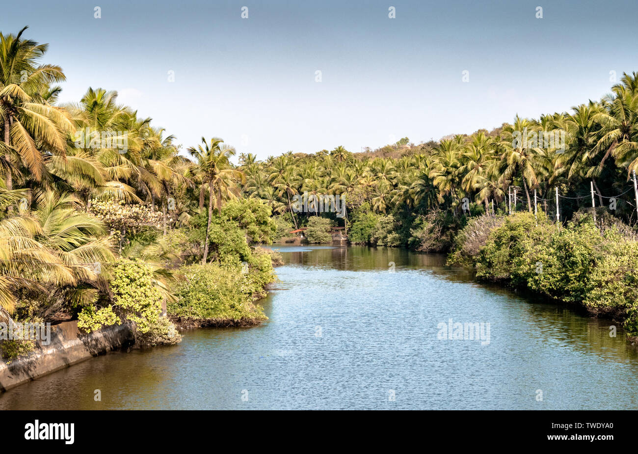 Beautiful Scenic view of backwaters of Kerala, from bridge above Stock ...