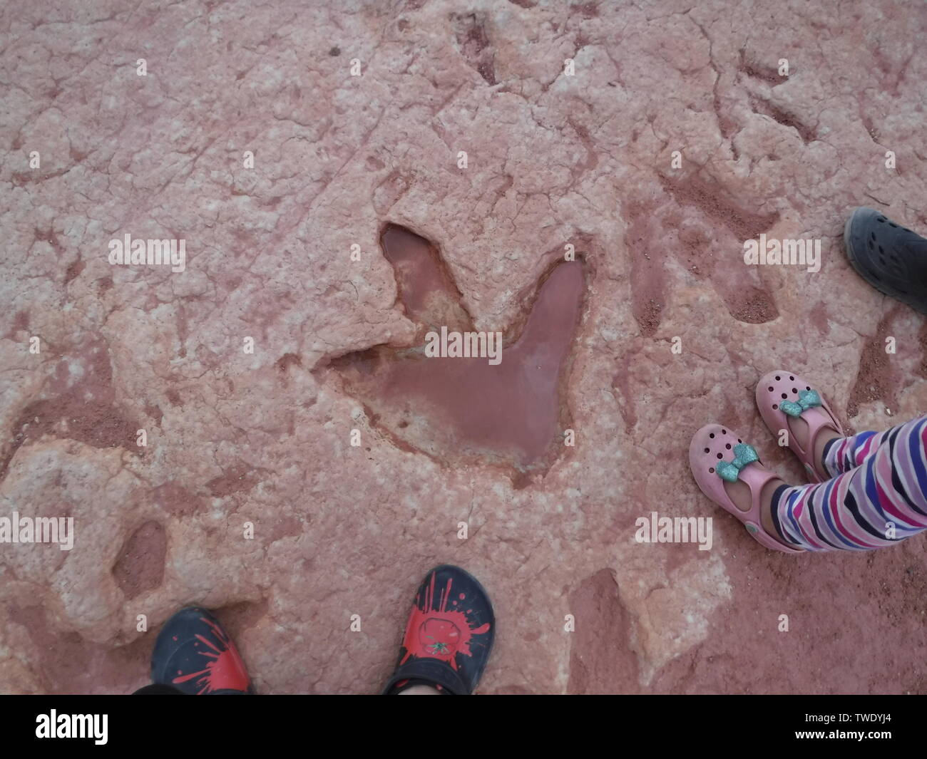 Kids observing Dilophosaurus Dinosaur tracks in Arizona limestone Stock ...