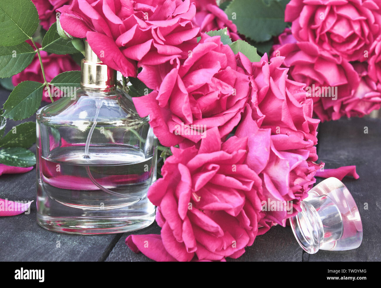 Perfume bottle surrounded by red roses. Aromatherapy Stock Photo - Alamy