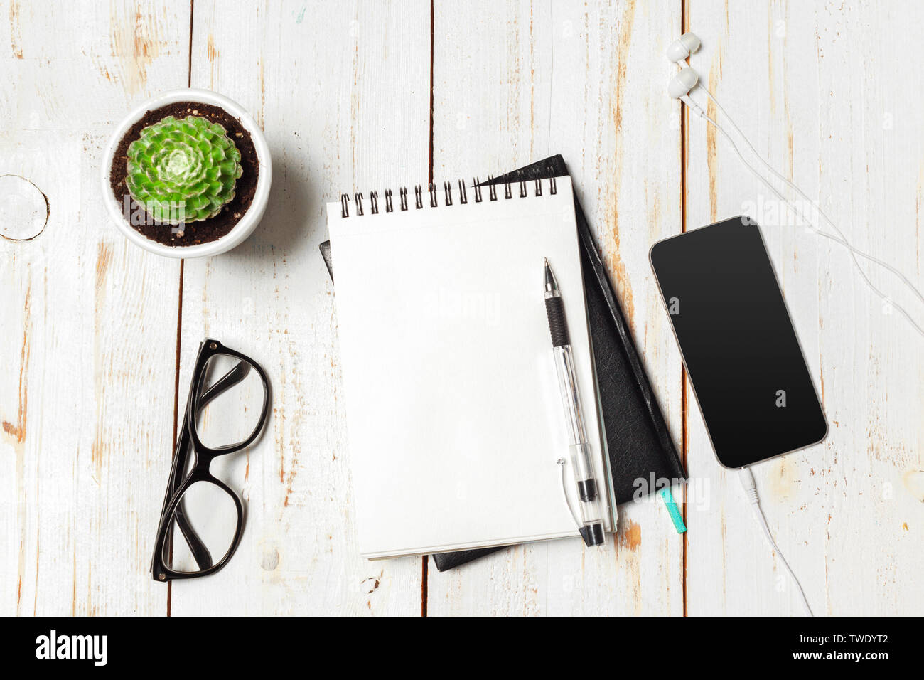Succulent and Notebook paper in pot on table Stock Photo - Alamy