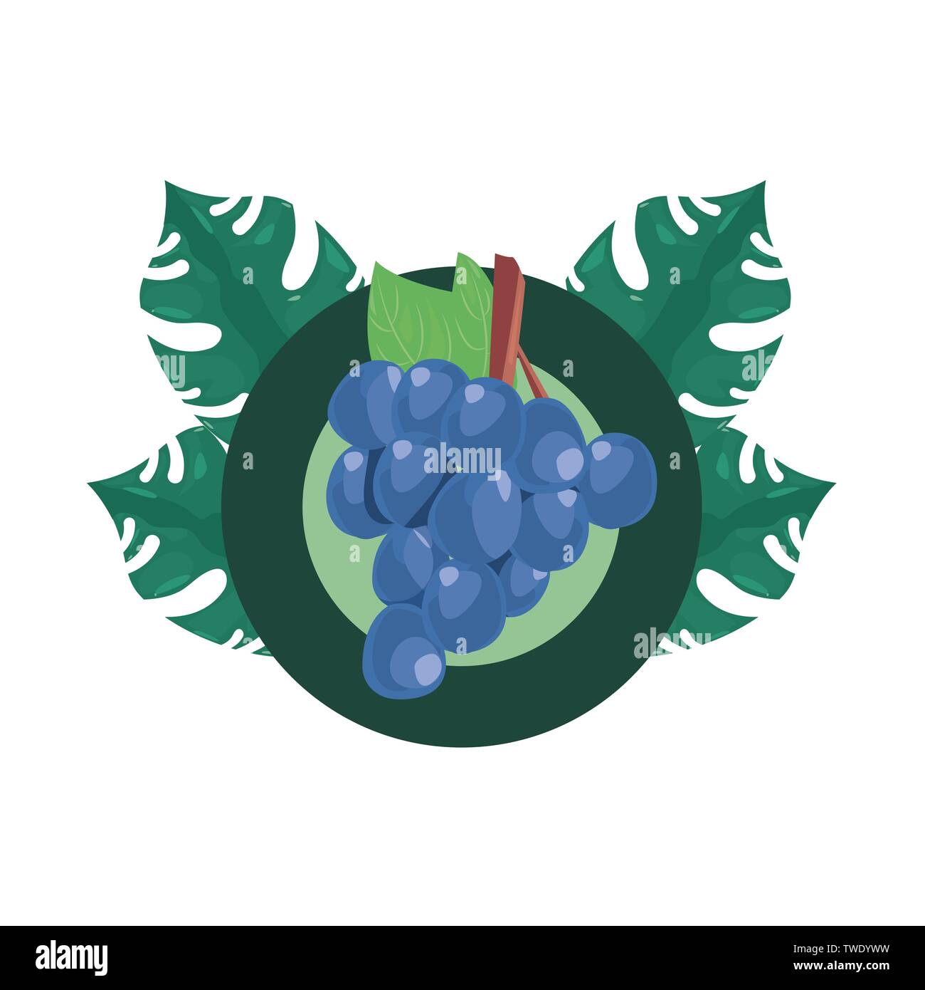 summer time holiday grapes badge tropical leaves vector illustration ...