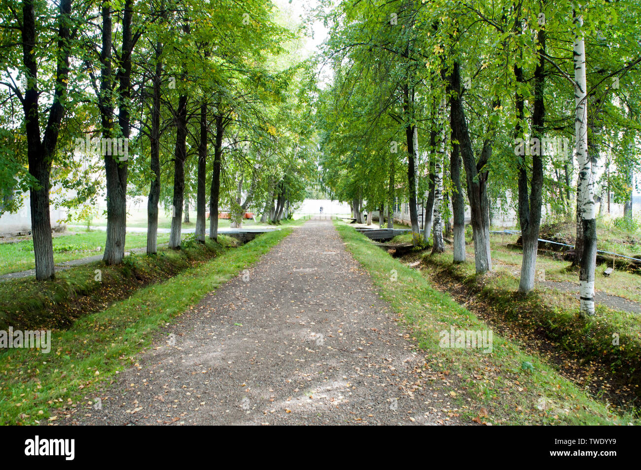 Early perm hi-res stock photography and images - Alamy