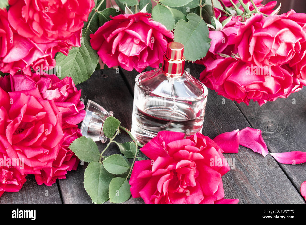 Perfume bottle surrounded by red roses. Aromatherapy Stock Photo - Alamy