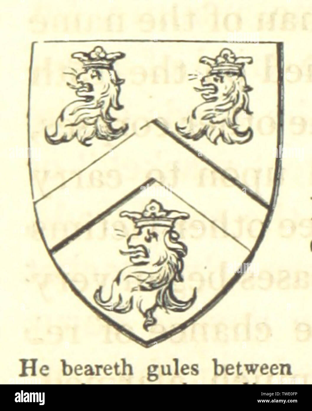 The history and topography of the Isle of Axholme being that part of ...