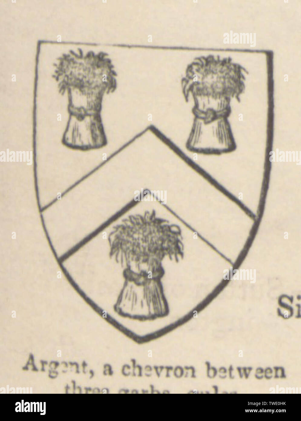 The history and topography of the Isle of Axholme being that part of ...