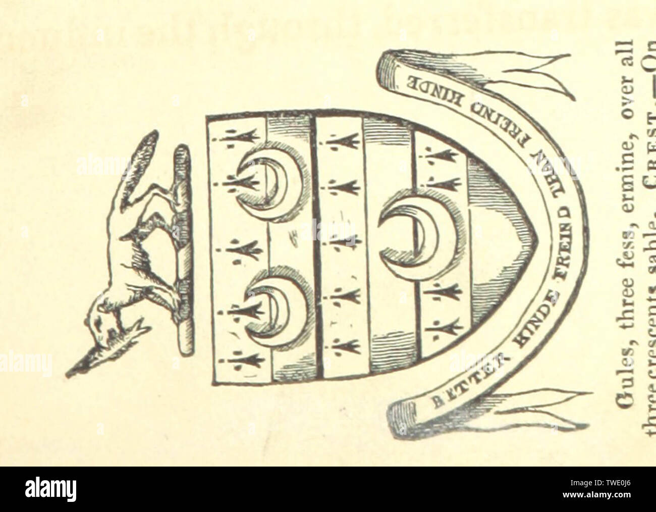The history and topography of the Isle of Axholme being that part of ...