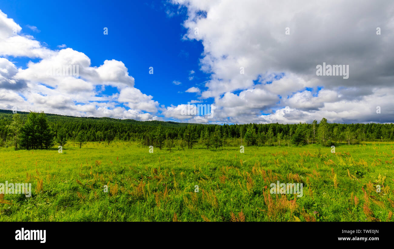 Summer in Hulunbuir Prairie, Inner Mongolia Stock Photo - Alamy