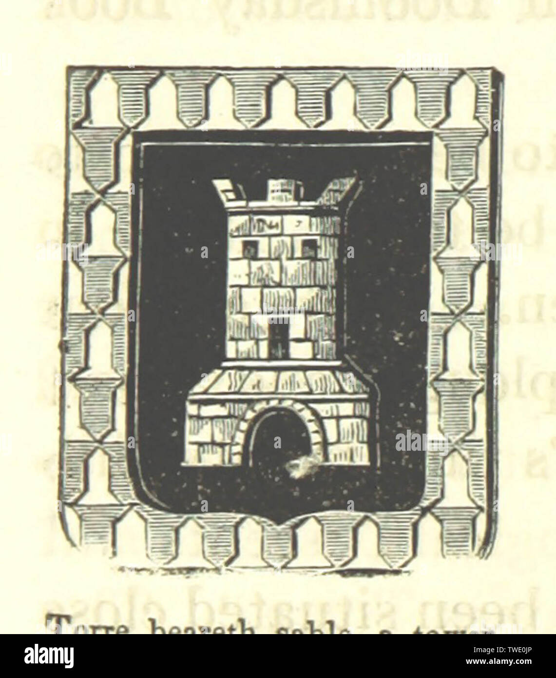 The history and topography of the Isle of Axholme being that part of ...