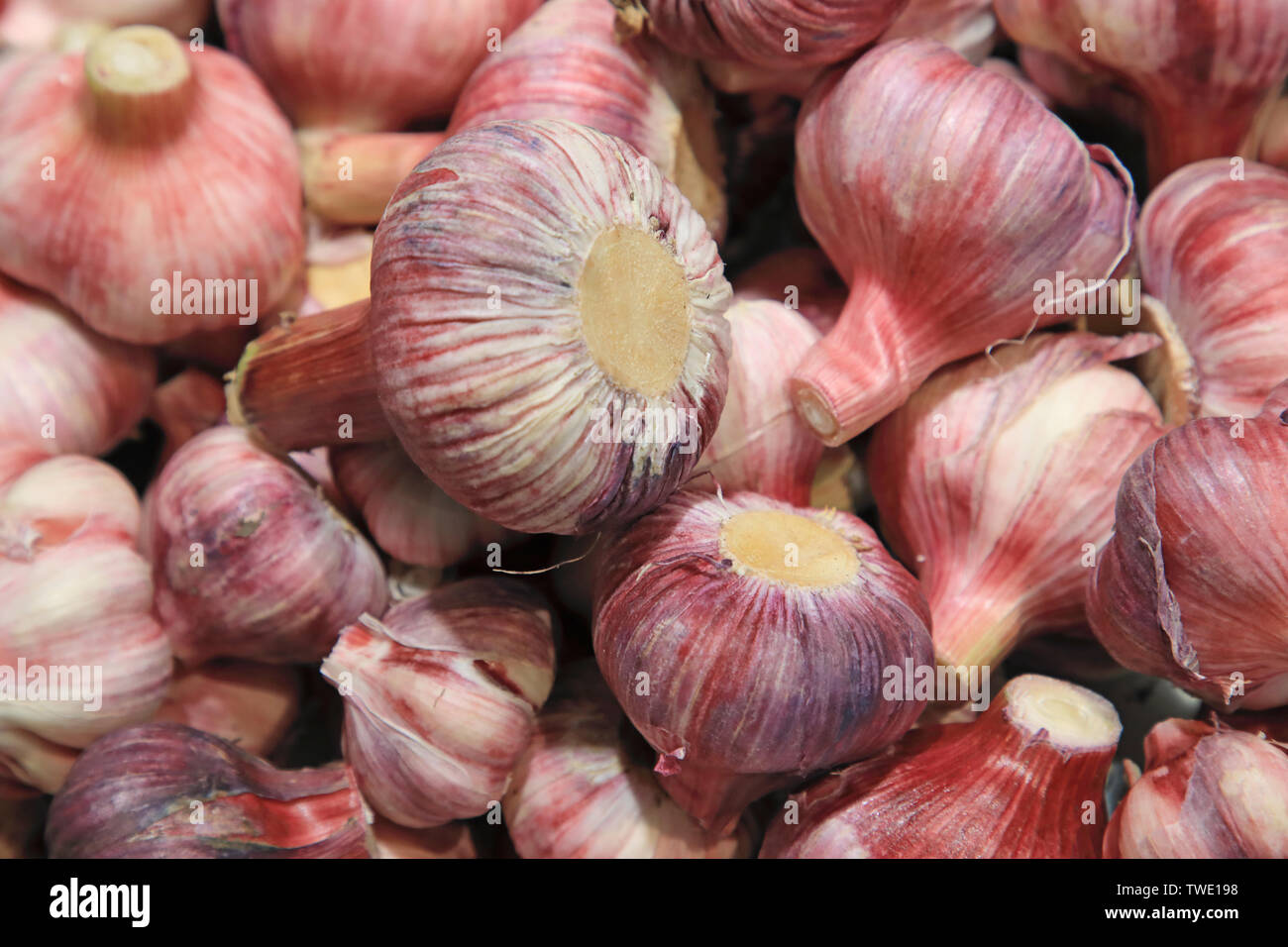Purple skin garlic Stock Photo - Alamy