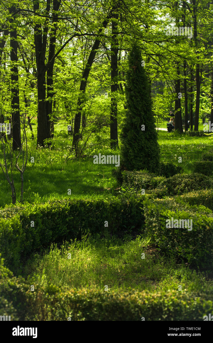 Beautiful park in spring Stock Photo - Alamy