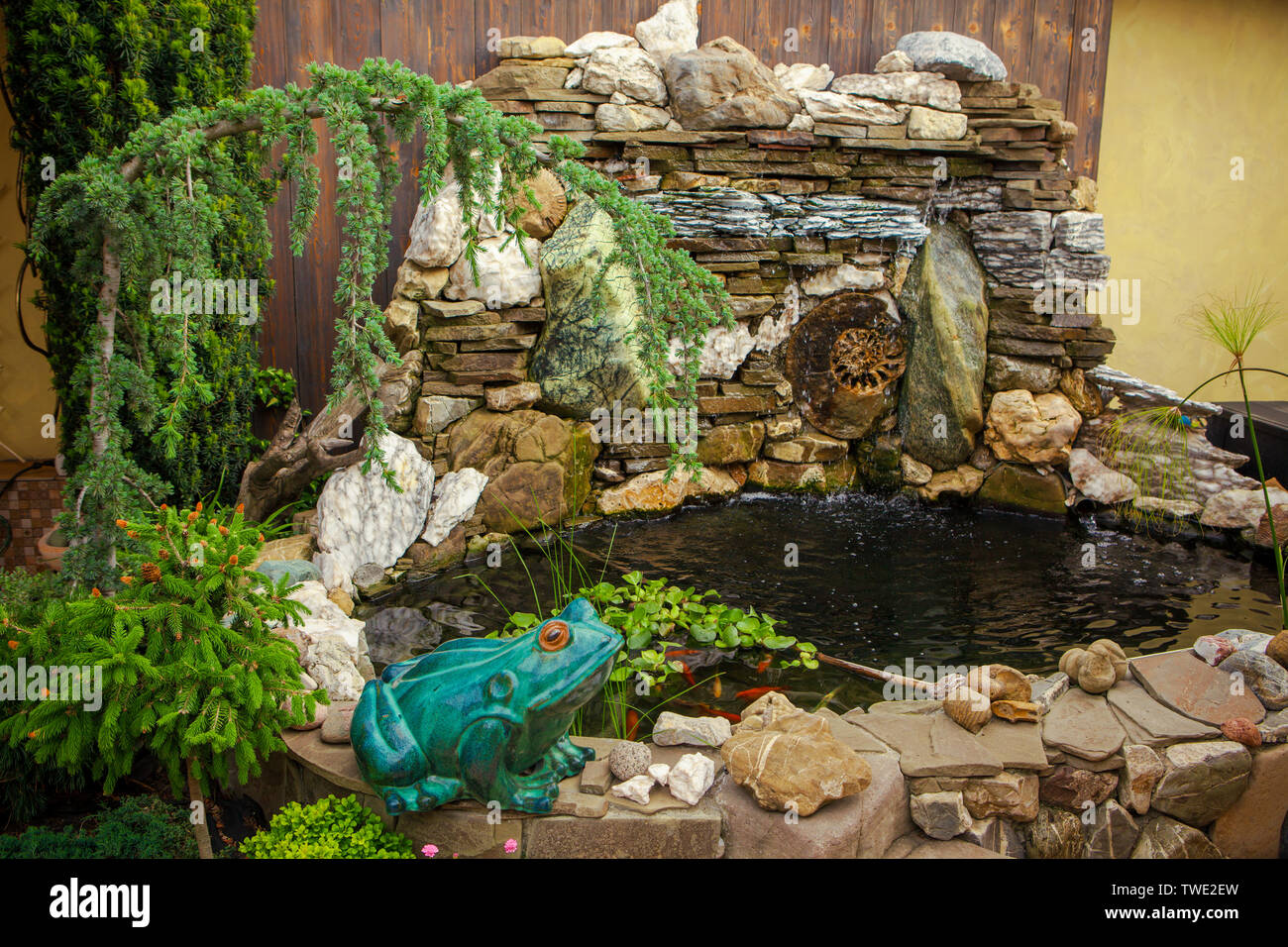 Artificial pond with big red fishes and a stone frog Stock Photo - Alamy
