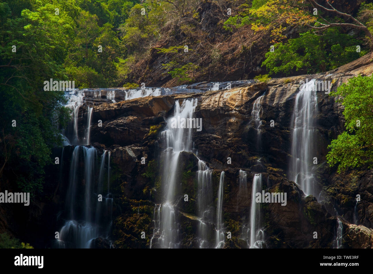 Sathoddi Falls, Karnataka, India Stock Photo - Alamy