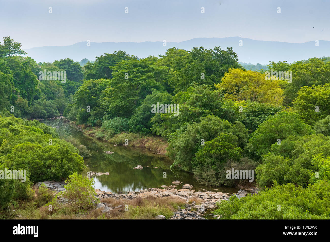 Gangavalli river, Karnataka, India Stock Photo - Alamy