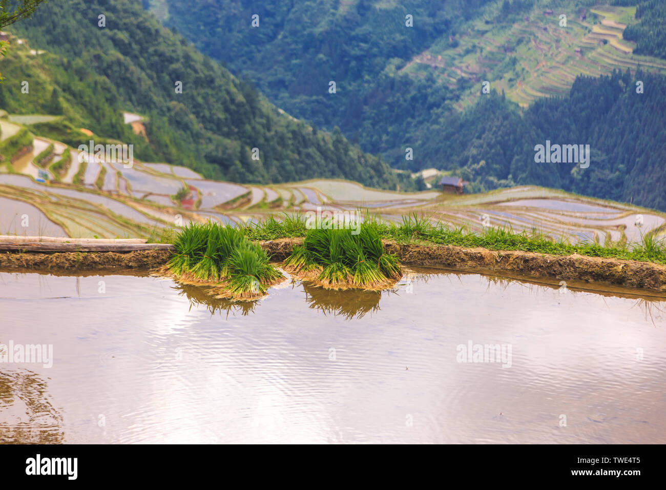Guizhou province china hills hi-res stock photography and images - Alamy
