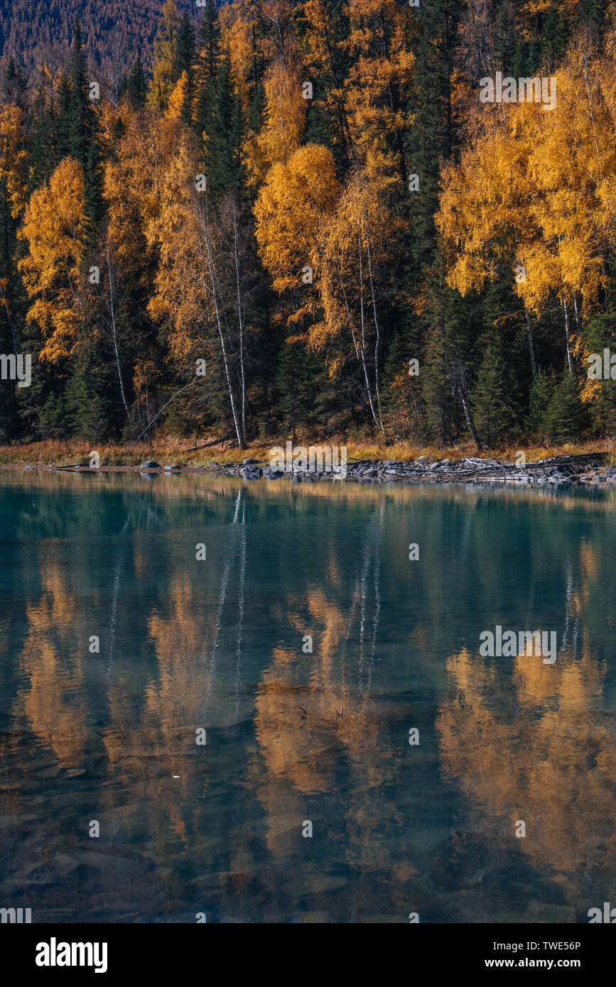 Autumn forest with lake Stock Photo - Alamy