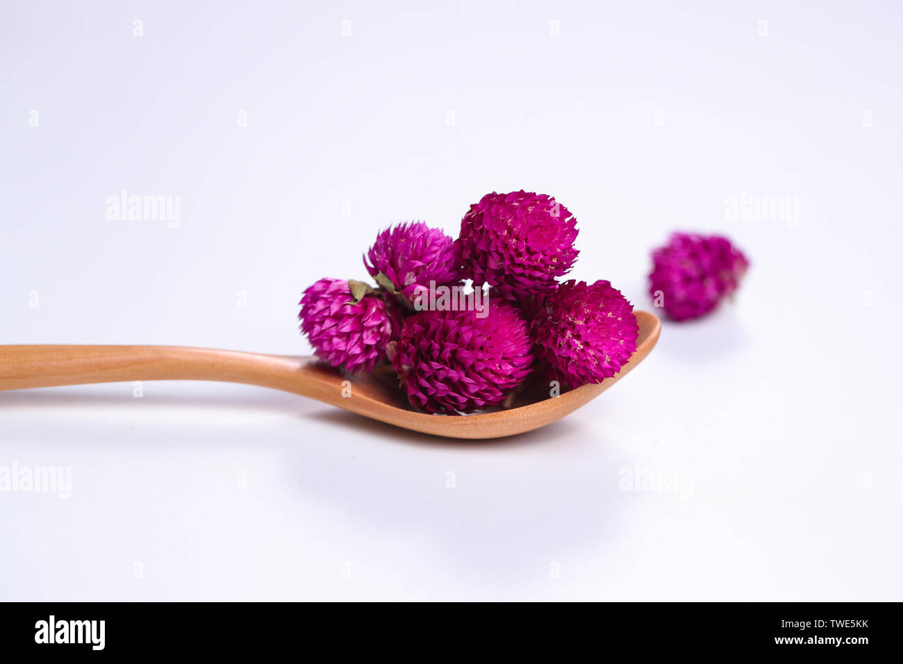 Thousand-day red flower tea Stock Photo - Alamy
