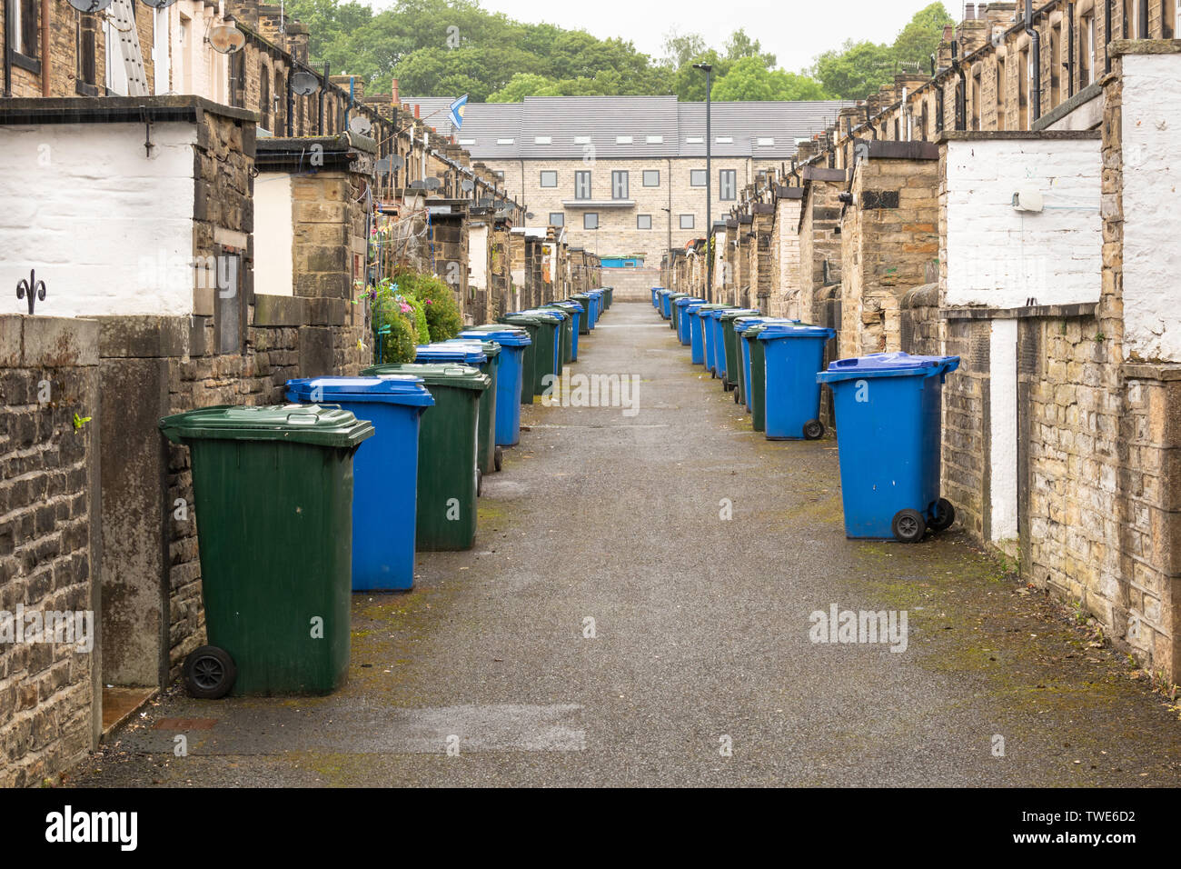 Wheelie bins in a row outside houses Stock Photo - Alamy