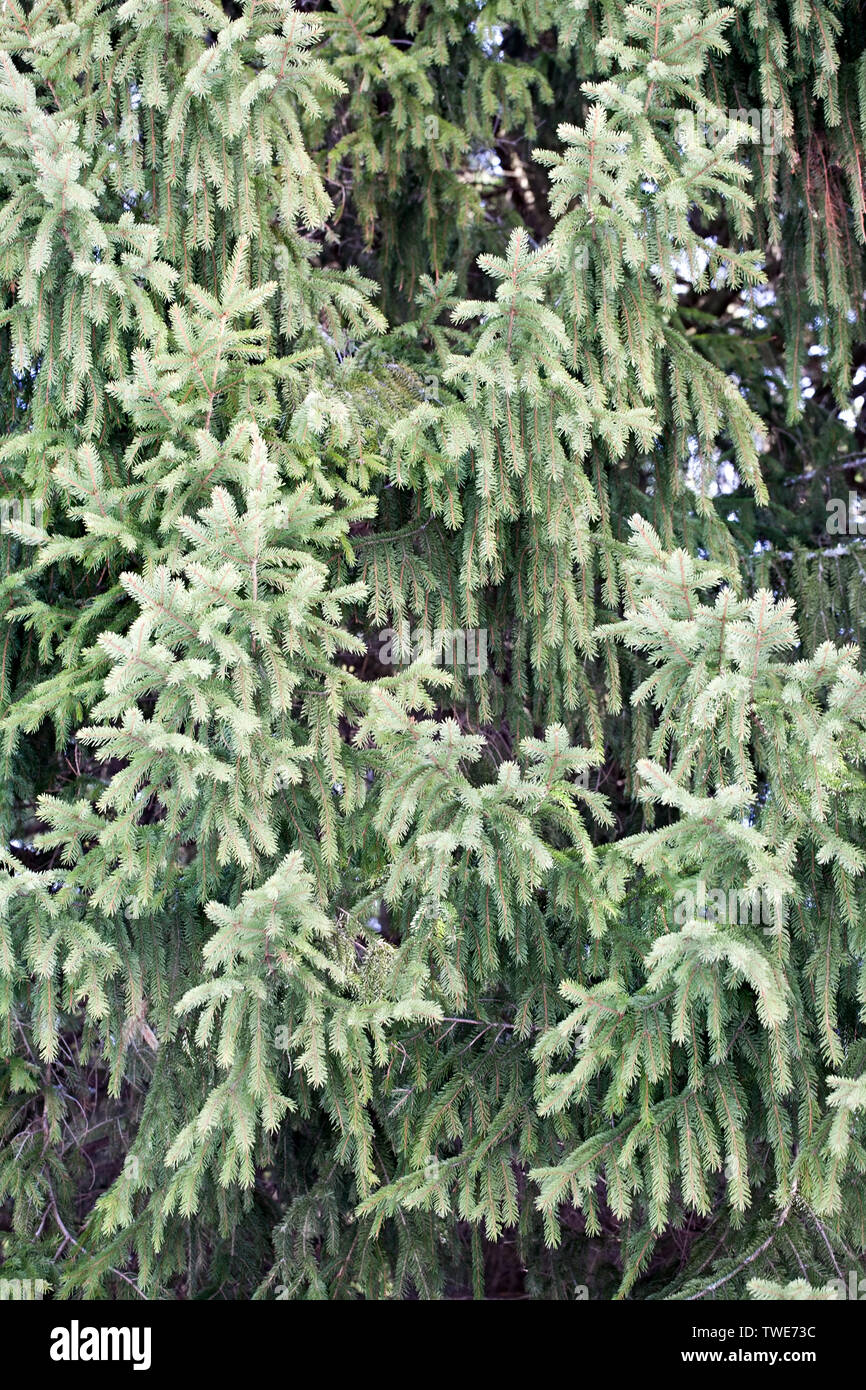 Pattern view hi-res stock photography and images - Alamy