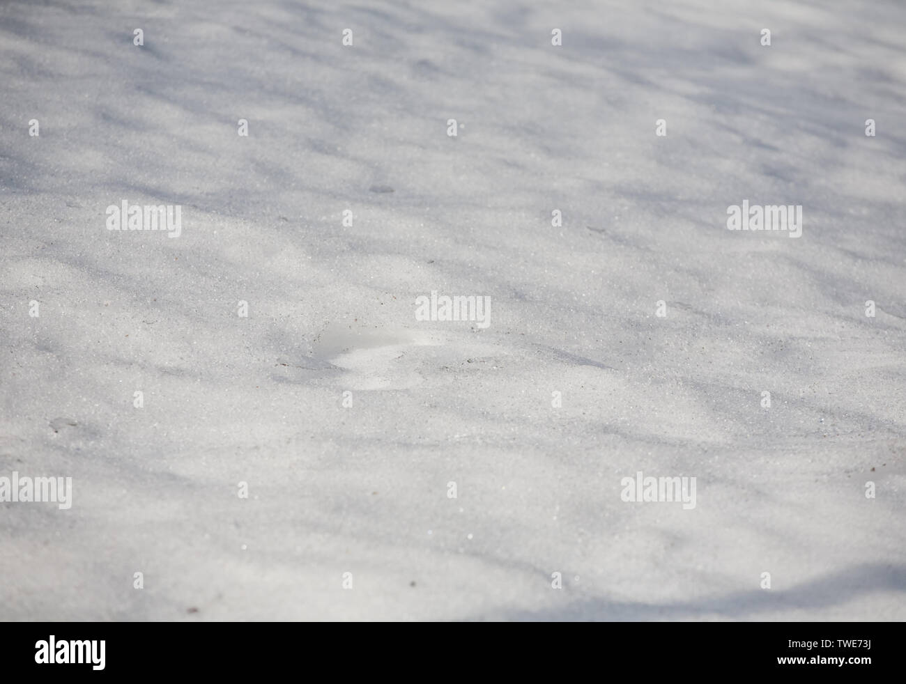 Snow surface texture hi-res stock photography and images - Alamy