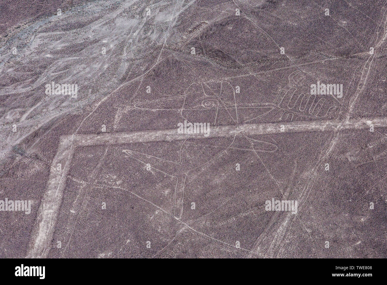 South America, Peru, Cuzco, Nazca land paintings, unsolved mysteries ...