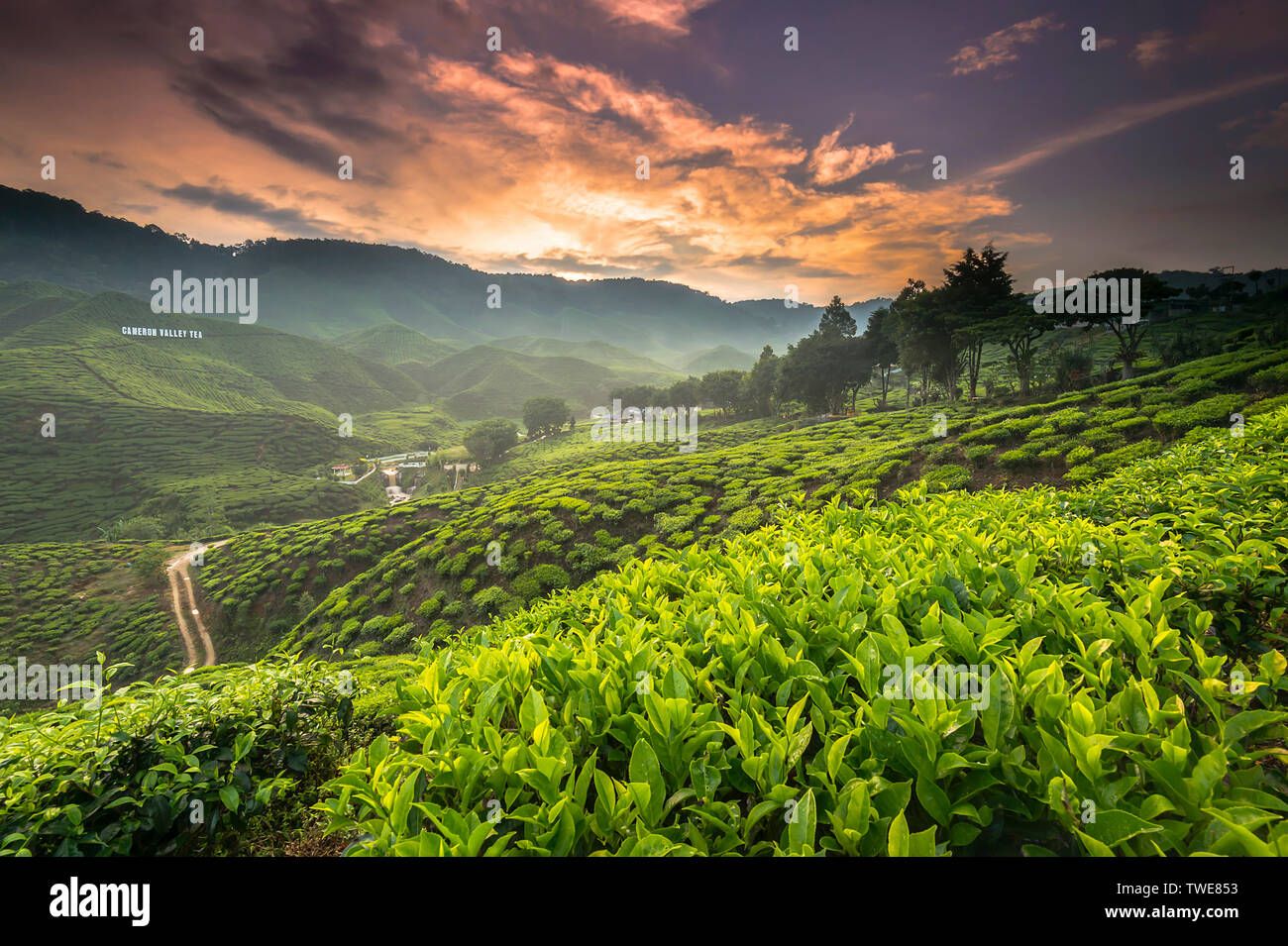 Tourism cameron hi-res stock photography and images - Alamy