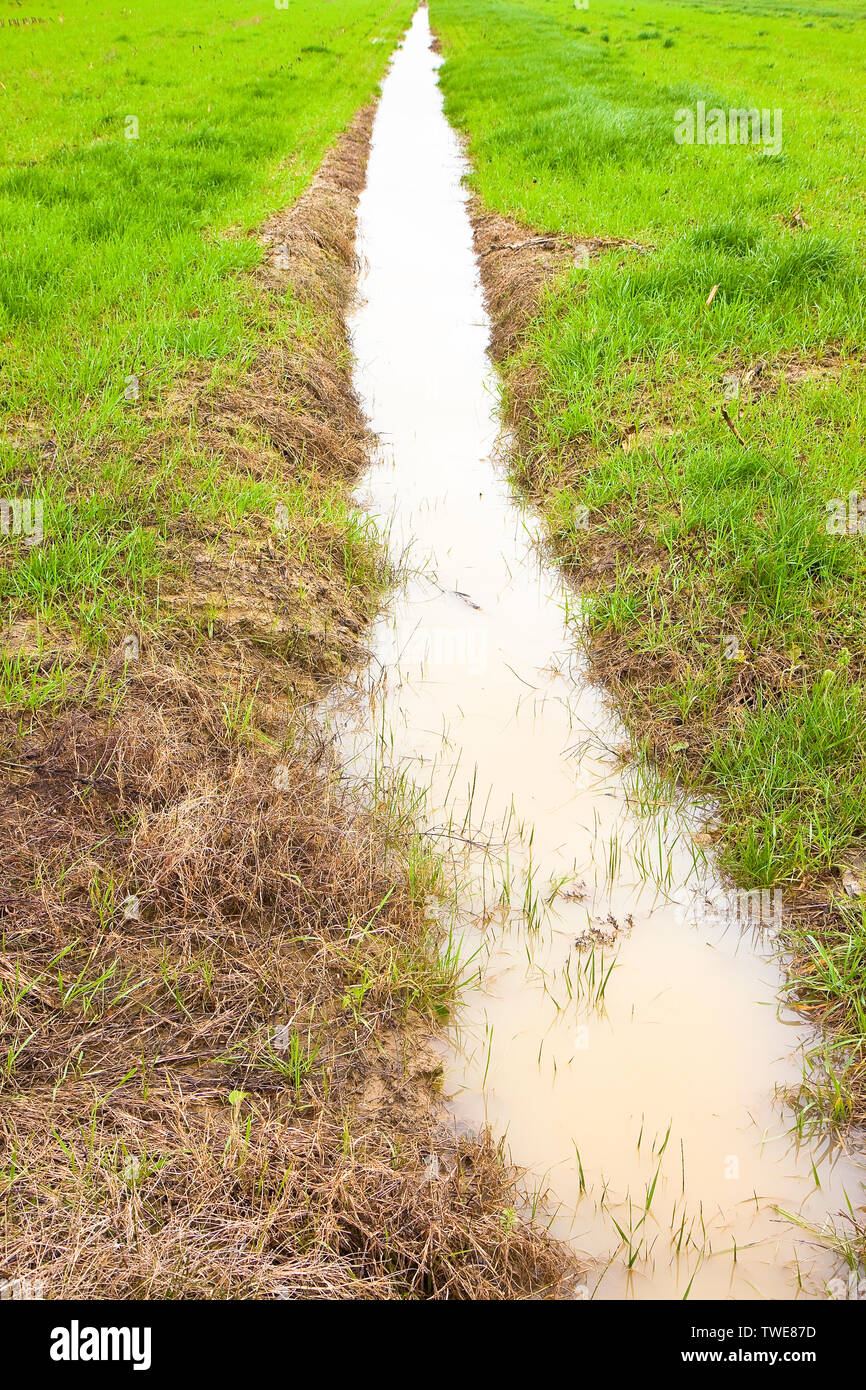 Canal full of mud hi-res stock photography and images - Alamy