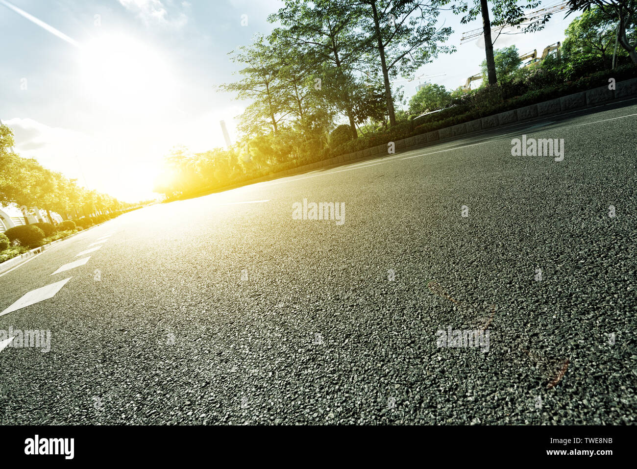 Green asp hi-res stock photography and images - Alamy