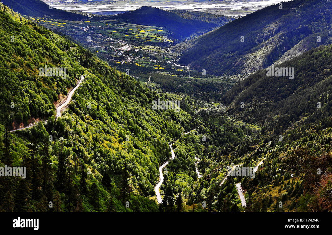Scenery of Lulang Linhai in Yingzhi region, Tibet Stock Photo - Alamy